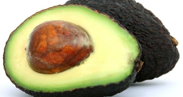 Avocado züchten aus einem Avocadokern: einfache Anleitung für ...